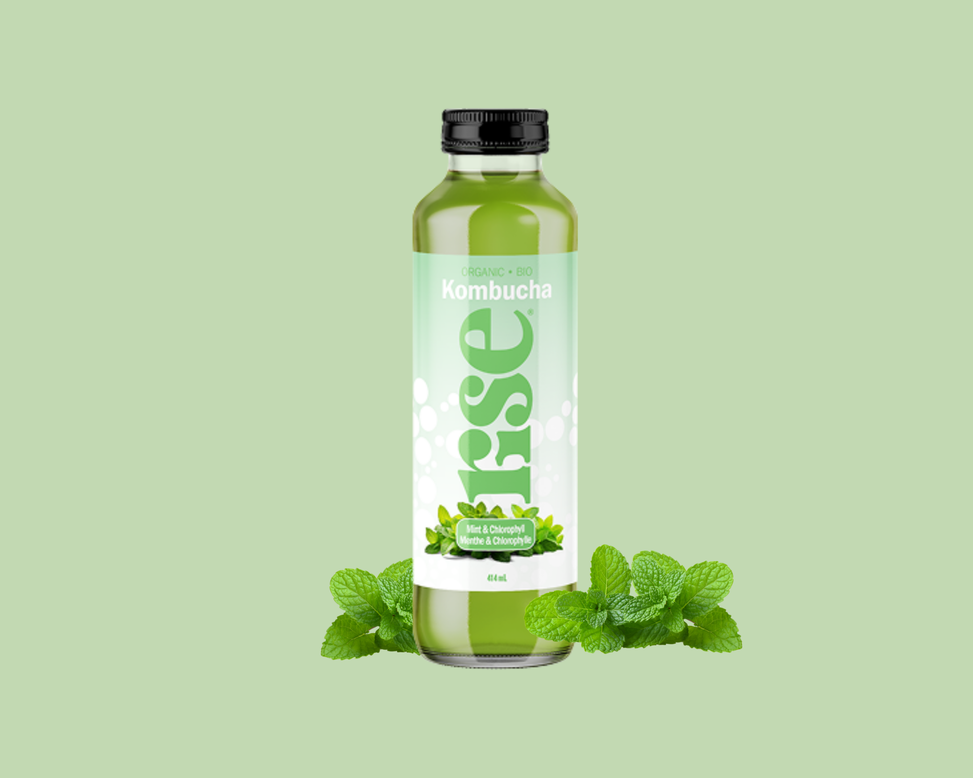 Rise Kombucha | Mint & Chlorophyll | Feed your curiosity